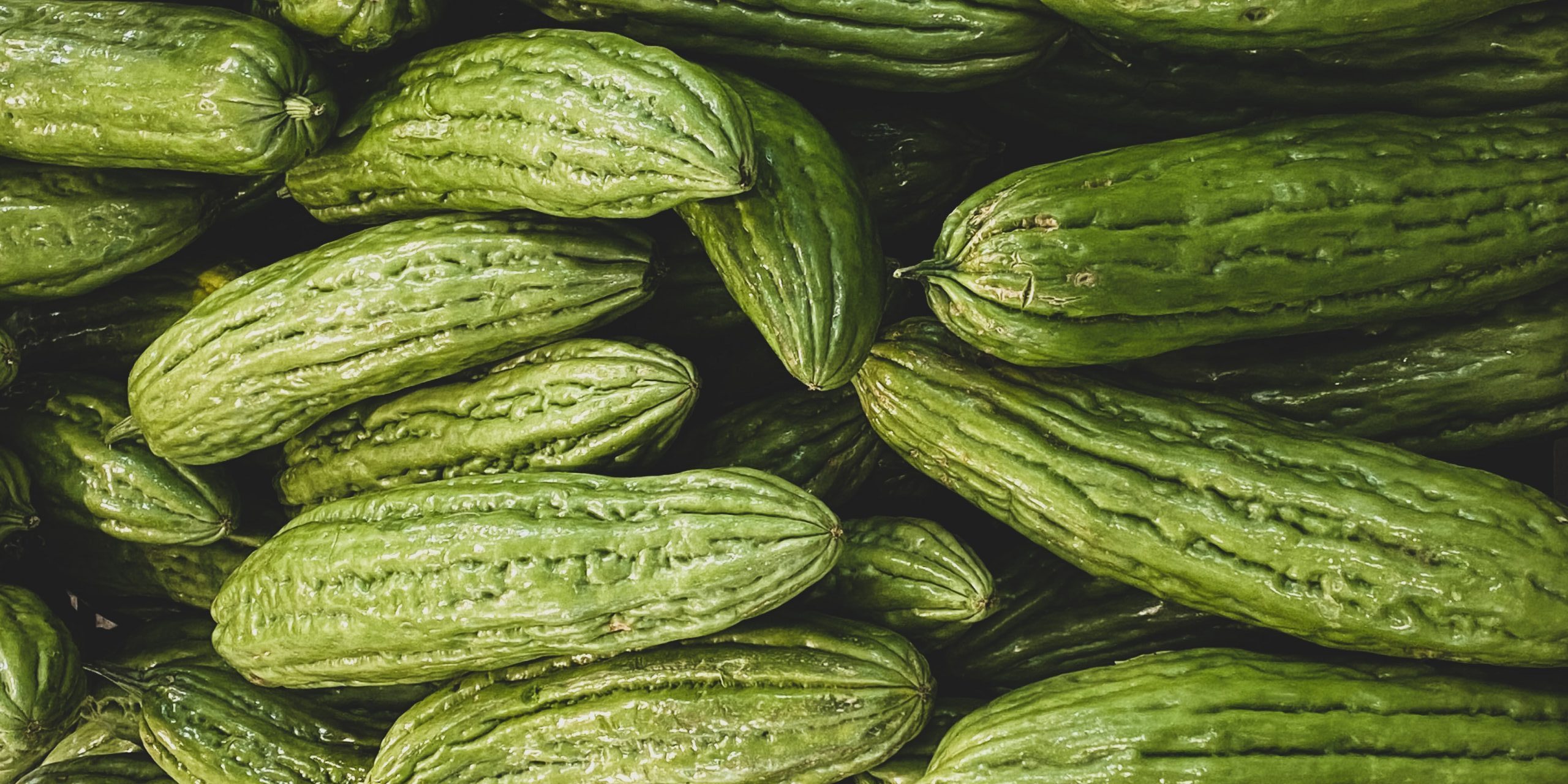 Sopropo en haar geneeskrachten | Webdesign Blog